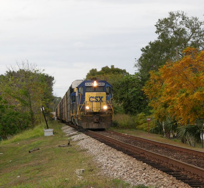 CSX Rack Train